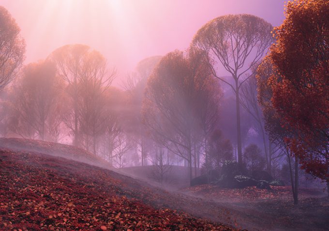 Creating the World of Frozen 2 | Disney® Visa® Credit Cards