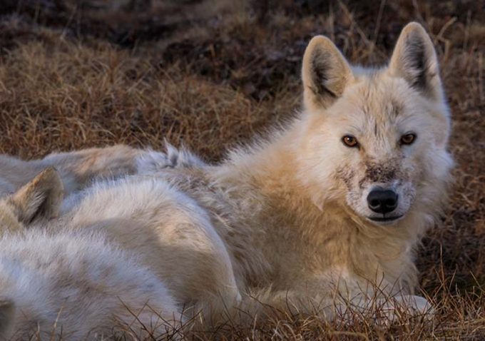 A-Z Guide for Movies & Shows on Disney+ | Disney Rewards